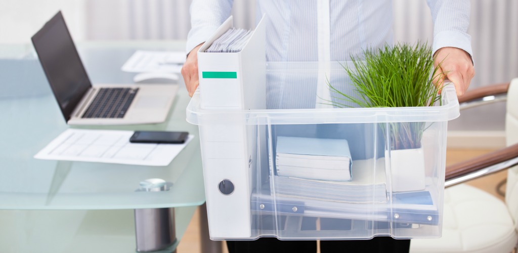 Green Office Move from NYC Professional Office Organizer